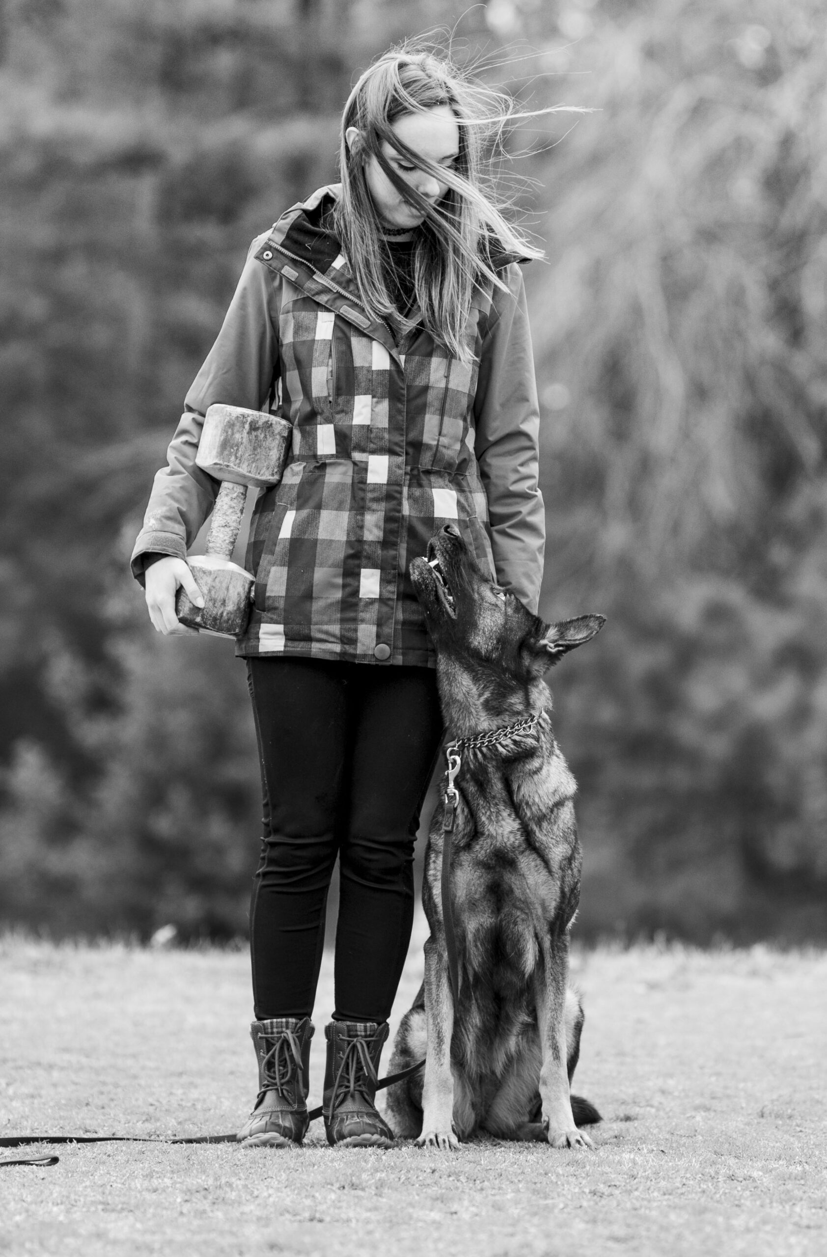 Training – Courtneys K9 Crew