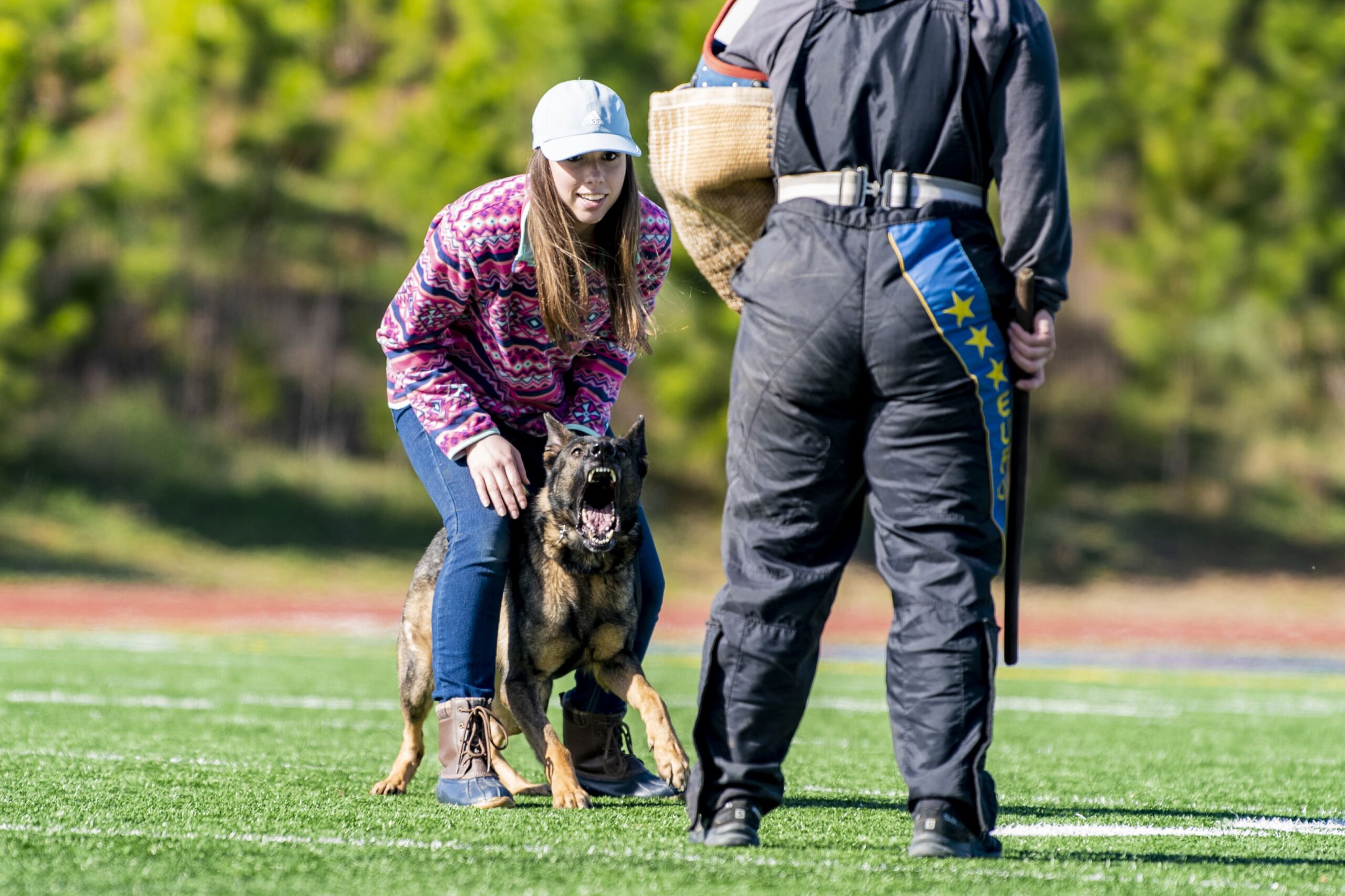 Training – Courtneys K9 Crew