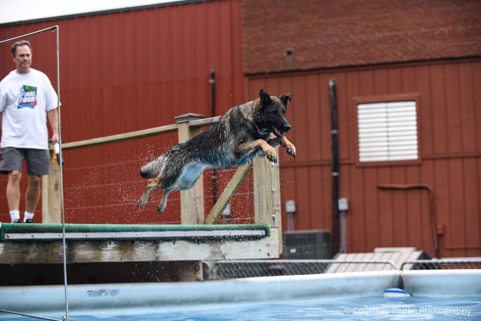 Training – Courtneys K9 Crew