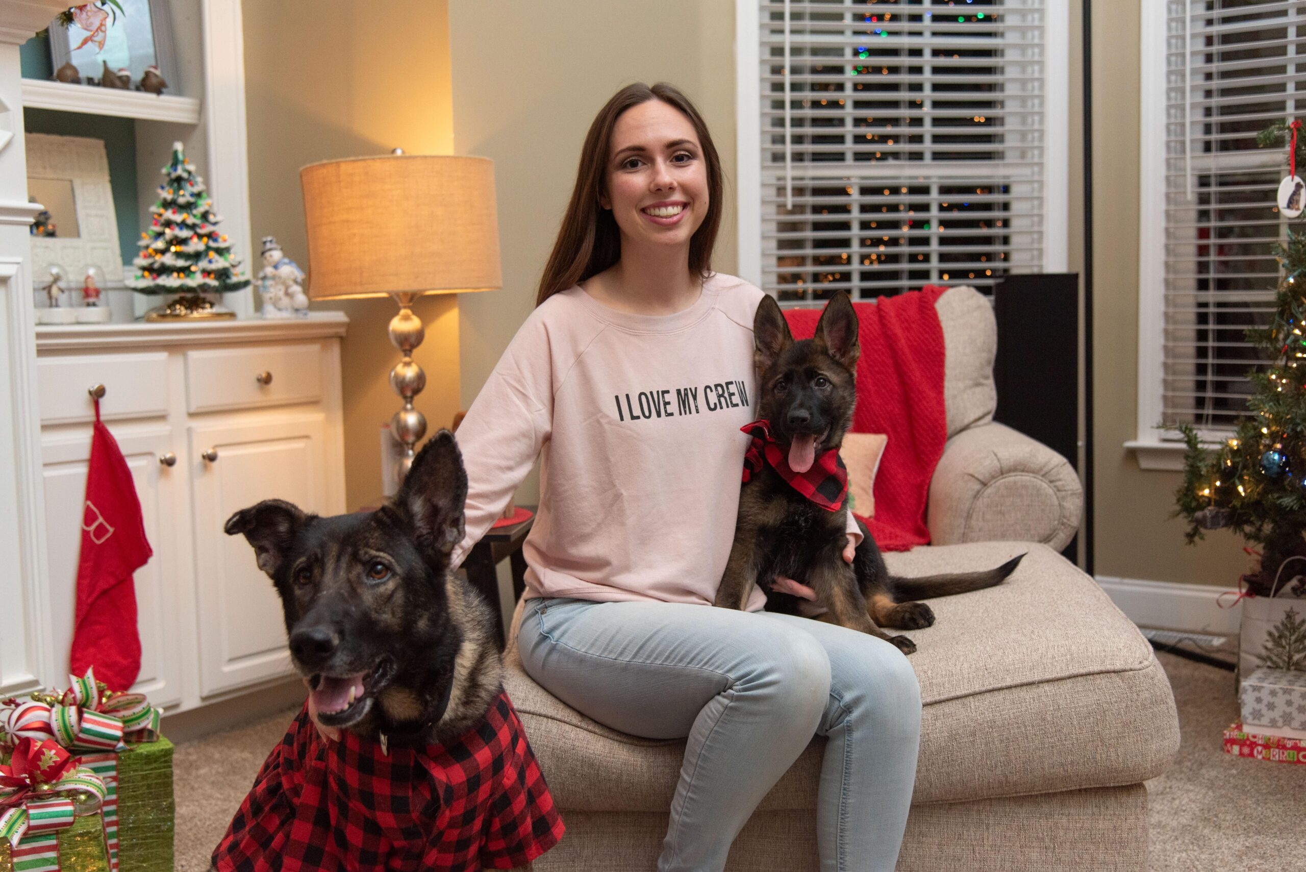 Training – Courtneys K9 Crew