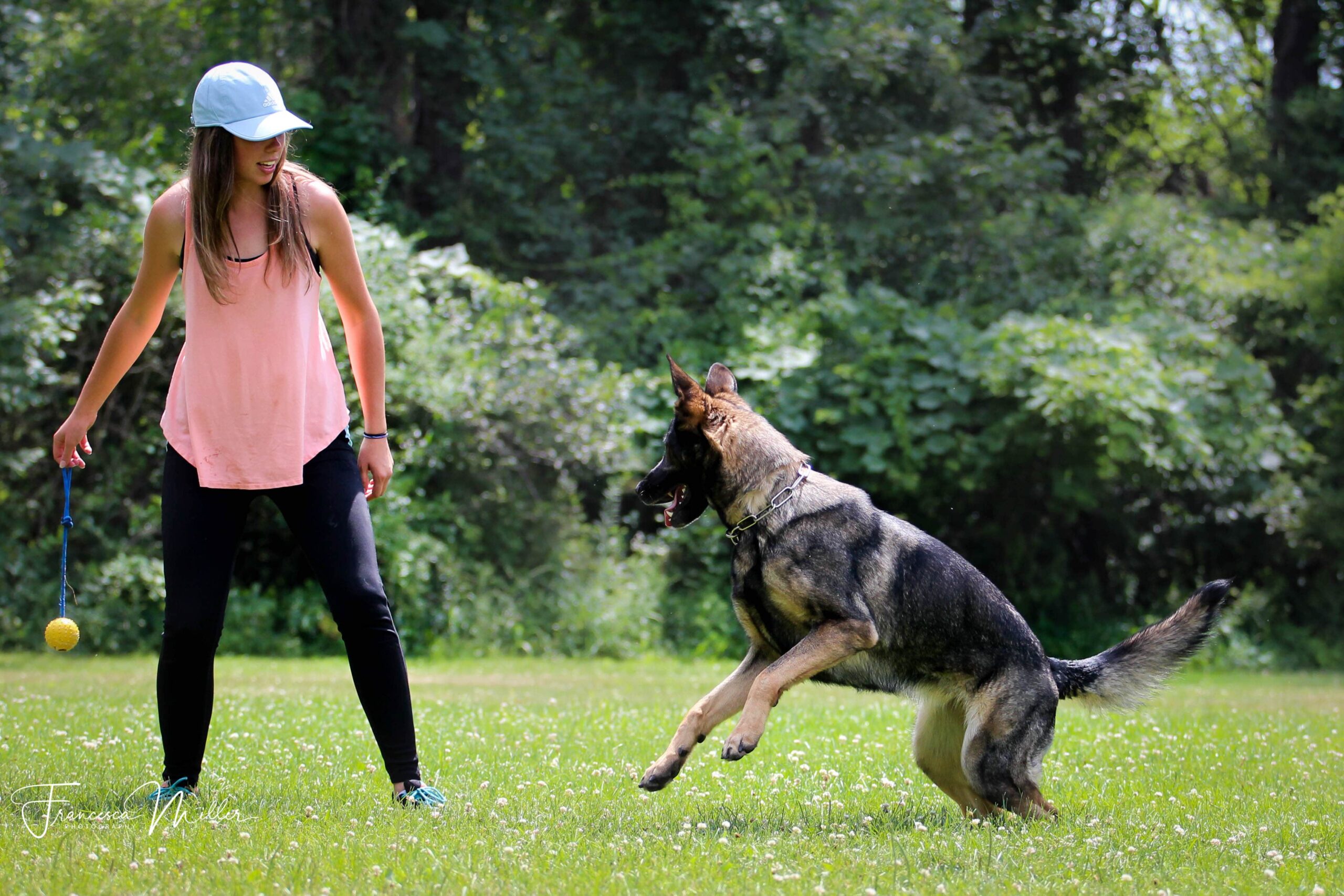 Training – Courtneys K9 Crew