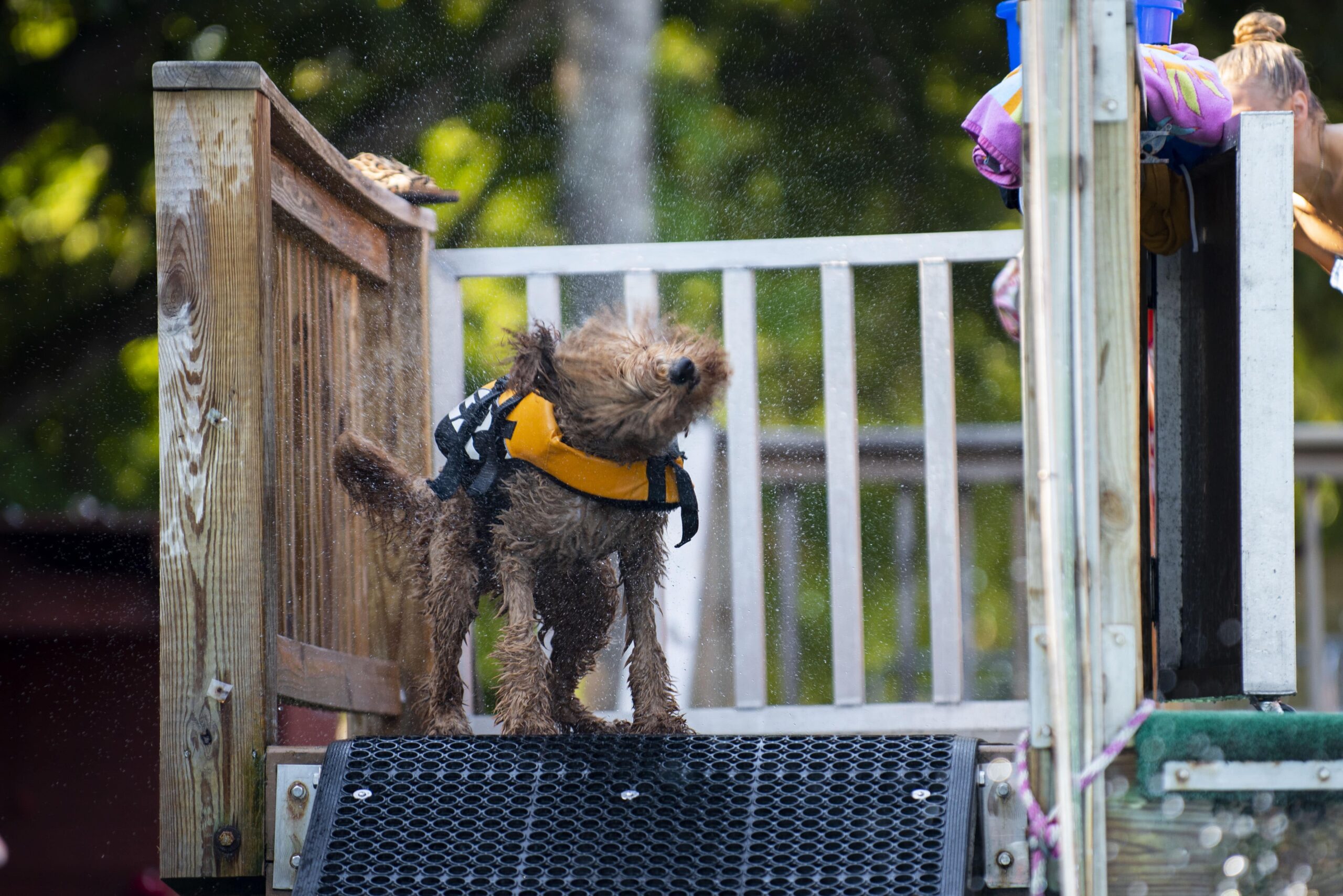 Training – Courtneys K9 Crew